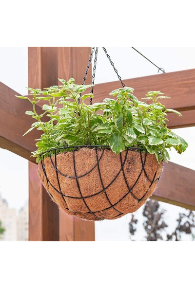 Bahçem Coco Askılı Çiçeklik Doğal Hindistan Cevizi Lifi Dekoratif 1 Adet Balkon Bahçe Saksısı 32X31X75CM Bahçem Coco Askılı Çiçeklik Doğal Hindistan Cevizi Lifi Dekoratif 1 Adet Balkon Bahçe Saksısı 32X31X75CM