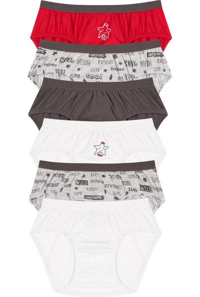 Penti Çok Renkli Erkek Çocuk Dude 6lı Slip