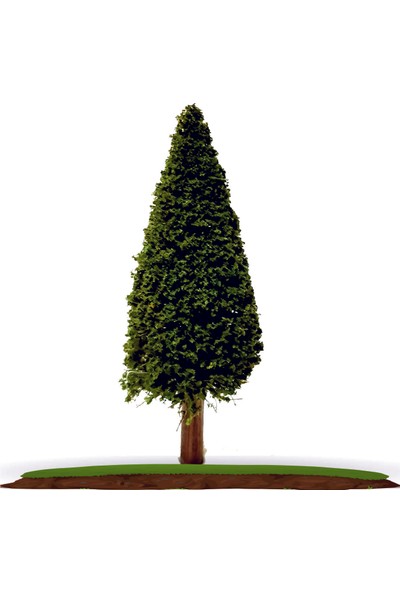 Vox 2'li Ayaklı Maket Ağaç 1:100/200 Ölçek 7,5 cm (VT6001-7,5)