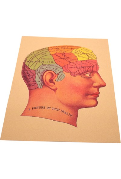 Caph Design Düşünce Haritası Vintage Kraft Poster 32 x 45 cm