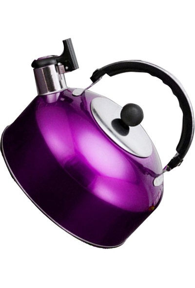 Homyl Paslanmaz Çelik Su Isıtıcısı - Mor (Yurt Dışından) Homyl Paslanmaz Çelik Su Isıtıcısı - Mor (Yurt Dışından)
