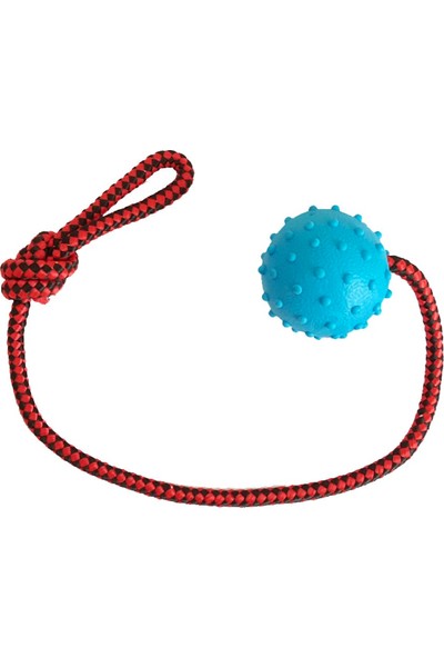 Dikenli Toplu Köpek Oyuncağı Mavi 45 cm Dikenli Toplu Köpek Oyuncağı Mavi 45 cm