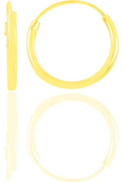 Söğütlü Silver 925 Ayar Gümüş Mini Altın Yaldızlı Halka Küpe Söğütlü Silver 925 Ayar Gümüş Mini Altın Yaldızlı Halka Küpe