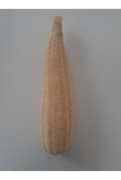 Anatolia Soap Kabak Lifi Uzunluk 40 cm ile 50 cm Kese Hamam Kesesi Anatolia Soap Kabak Lifi Uzunluk 40 cm ile 50 cm Kese Hamam Kesesi