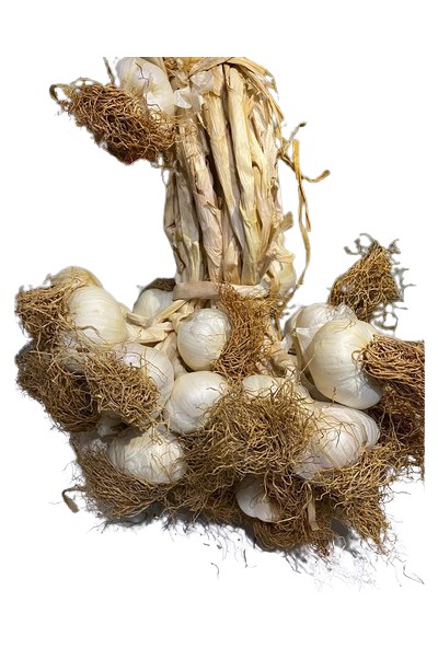 Köyden Market Kastamonu Taşköprü Sarımsağı İri Boy 1 kg