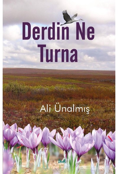 Derdin Ne Turna Derdin Ne Turna