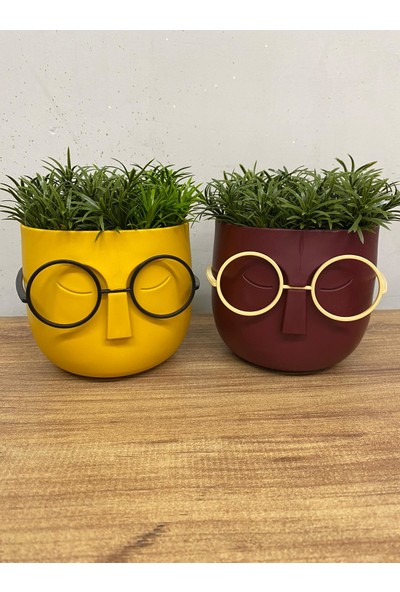Center Home Yapay Çim Saksı Gözlüklü 2'li