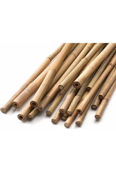 Genta Bambu Bitki Destek Çubuğu Genta Bambu Bitki Destek Çubuğu