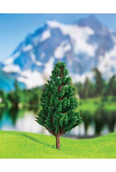 Eshel Ardıç Ağacı 6 cm 3 Adet