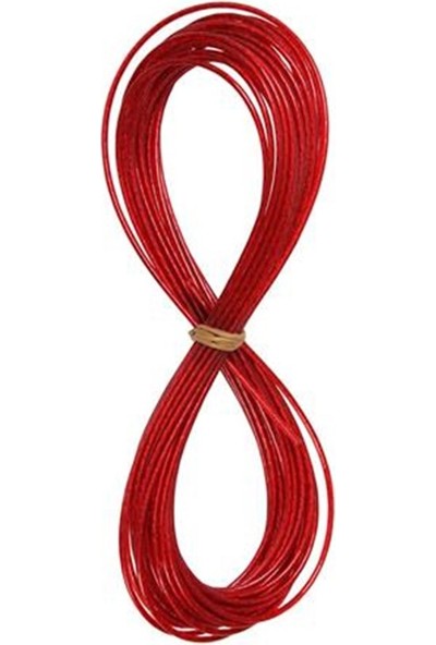 Homecare 10 mt Çelik Çamaşır Ipi 422513