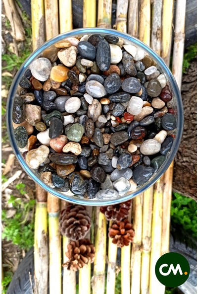 Hb Botanic 5 kg Dere Taşı Dekoratif Bahçe Akvaryum Teraryum Taşı