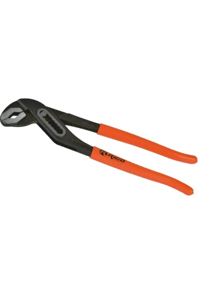 Rico Papağan Pense Rico Papağan Pense