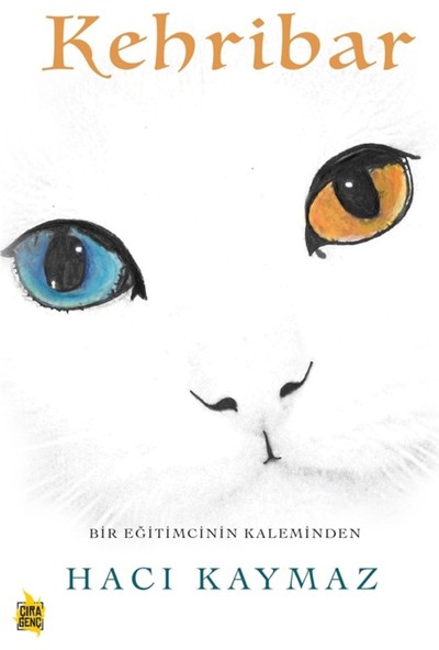 Çıra Yayınları Kehribar