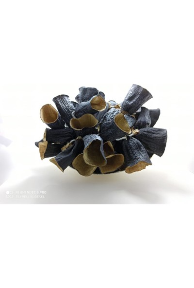 Sebze Meyve Dünyası Kuru Patlican Bağ ( 50 Adet )