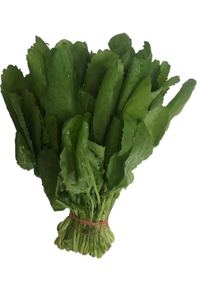 Sebze Meyve Dünyası Tere (Demet) Sebze Meyve Dünyası Tere (Demet)