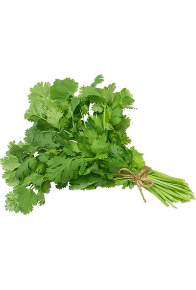 Sebze Meyve Dünyası Kişniş (Demet)