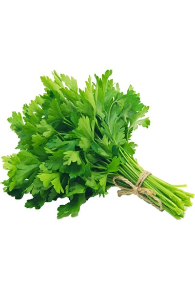 Sebze Meyve Dünyası Maydanoz