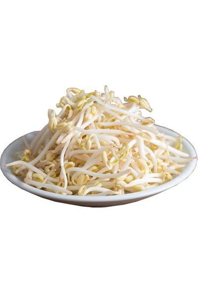 Sebze Meyve Dünyası Soya Filizi (500 gr )