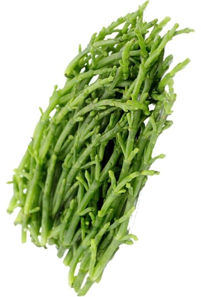 Sebze Meyve Dünyası Deniz Börülcesi (Demet)