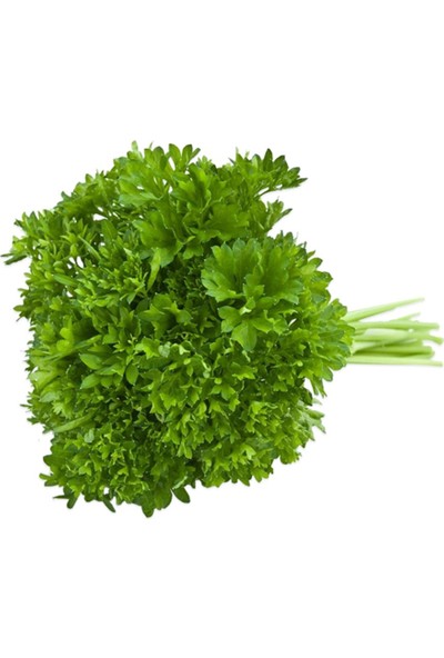 Sebze Meyve Dünyası Frenk Maydanoz (Demet)