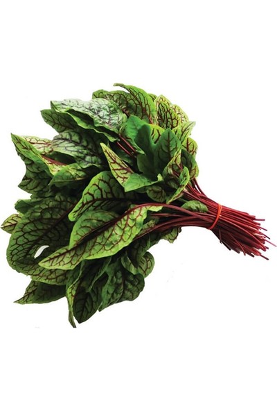 Sebze Meyve Dünyası Kırmızı Kuzu Kulağı (Demet)