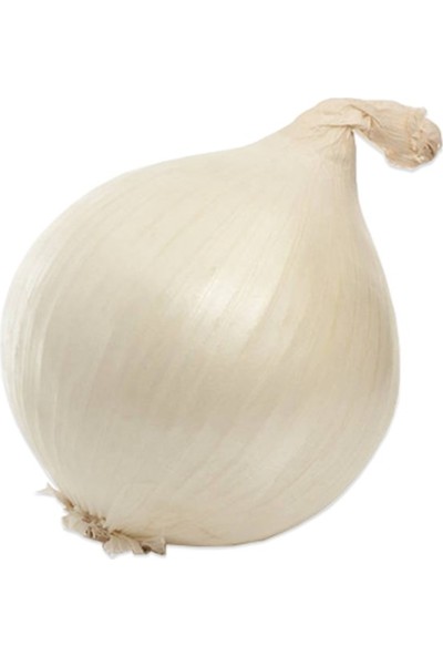 Sebze Meyve Dünyası Beyaz Gümüş Soğan (1 Kg) Sebze Meyve Dünyası Beyaz Gümüş Soğan (1 Kg)