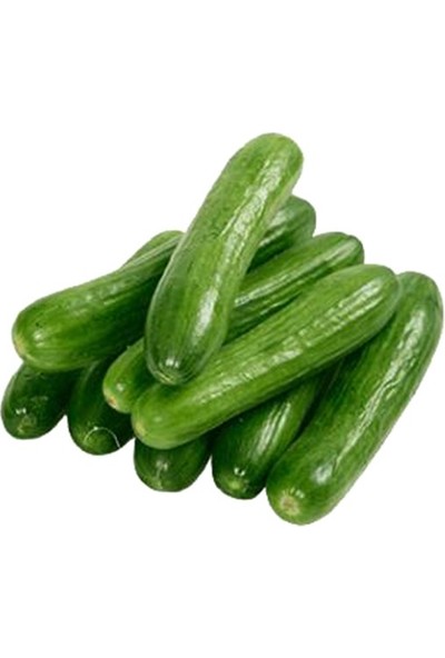 Sebze Meyve Dünyası Salatalık Slor Badem (1 Kg)