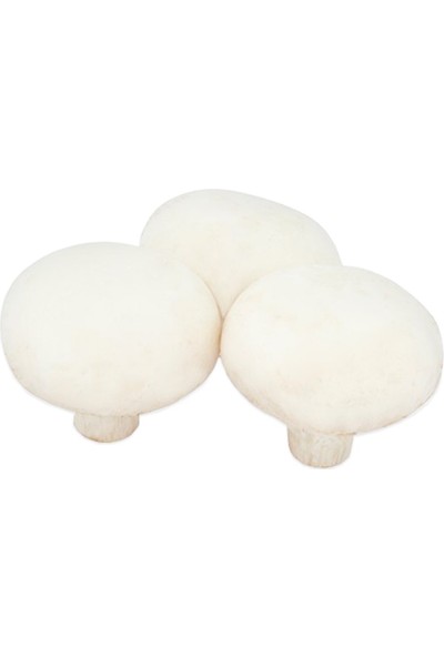 Sebze Meyve Dünyası Kültür Mantarı (400 Gr)