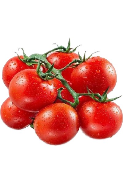 Sebze Meyve Dünyası Domates Salkım (1 Kg)