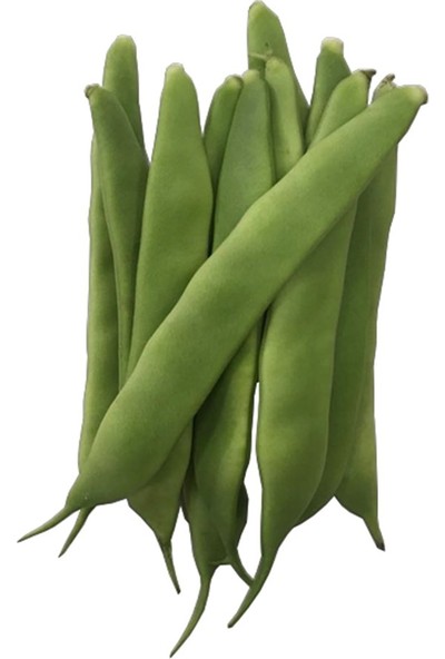 Sebze Meyve Dünyası Şeker Fasulye (500 gr )