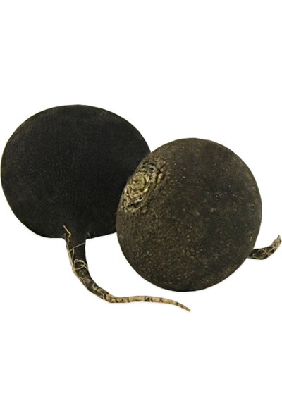 Sebze Meyve Dünyası Siyah Turp (1 Kg) Sebze Meyve Dünyası Siyah Turp (1 Kg)