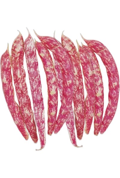 Sebze Meyve Dünyası Taze Barbunya (1 Kg) Sebze Meyve Dünyası Taze Barbunya (1 Kg)