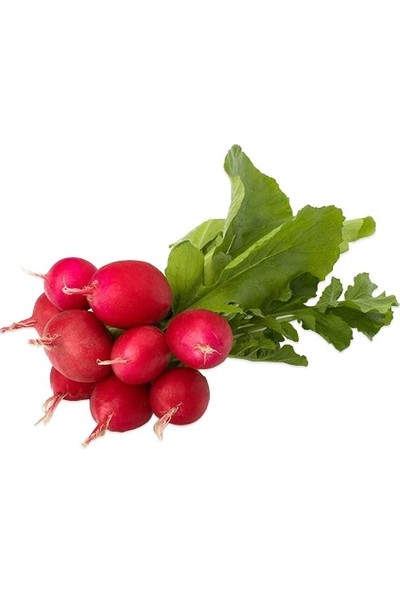 Sebze Meyve Dünyası Turp Fındık (Demet) Sebze Meyve Dünyası Turp Fındık (Demet)