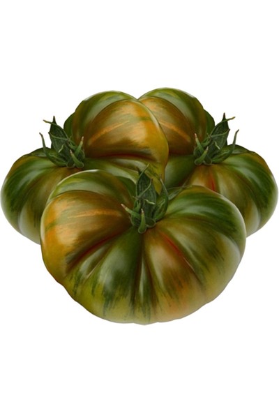 Sebze Meyve Dünyası Köy Domatesi (1 Kg) Sebze Meyve Dünyası Köy Domatesi (1 Kg)