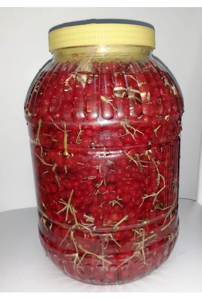 Rds Shop Gilaburu (Girabolu, Girebolu Yeni Mahsül 5 Lt