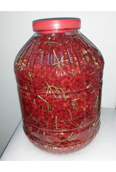 Rds Shop Gilaburu Girabolu Girebolu Yeni Mahsül 10 Lt