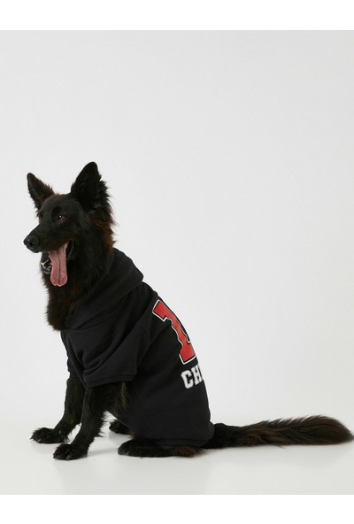 Koton Love Dog Kapüşonlu Sweatshirt