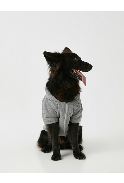 Koton Love Dog Kapüşonlu Sweatshirt