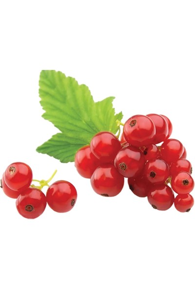 Sebze Meyve Dünyası Frenk Üzümü (125 gr)