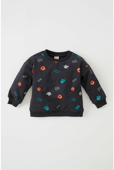 DeFacto Erkek Bebek Regular Fit Bisiklet Yaka Desenli İçi Yumuşak Tüylü Sweatshirt W2637A221Wn
