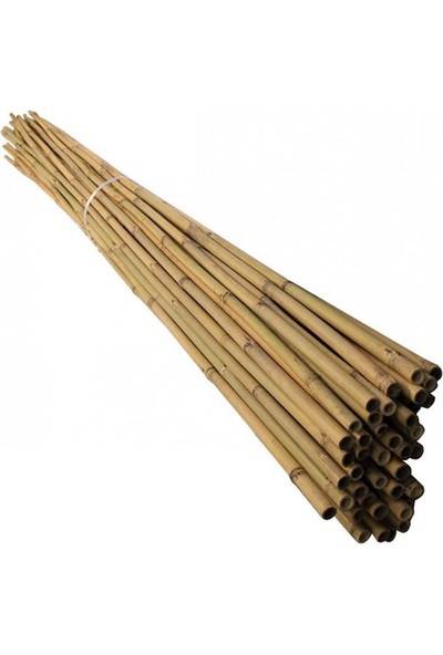 Antaner Kargı Kamış Bambu 200CM 15 Adet