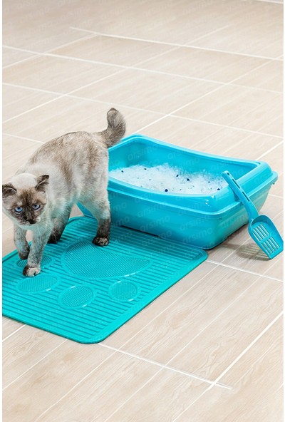 Arsimo Kedi Tuvaleti Tuvalet Önü Kedi Paspası Kum Küreği Seti Arsimo Kedi Tuvaleti Tuvalet Önü Kedi Paspası Kum Küreği Seti