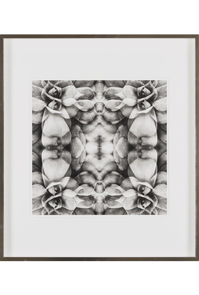 Zamanın Gölgesinde No.5-6-9, Hayal İncedoğan Zamanın Gölgesinde No.5-6-9, Hayal İncedoğan