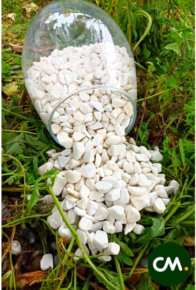 Hb Botanic 5 kg Dolomit Taş 1 - 2 cm Tamburlanmış Dekoratif Bahçe Saksı Akvaryum Teraryum Taşı Beyaz Taş Hb Botanic 5 kg Dolomit Taş 1 - 2 cm Tamburlanmış Dekoratif Bahçe Saksı Akvaryum Teraryum Taşı Beyaz Taş