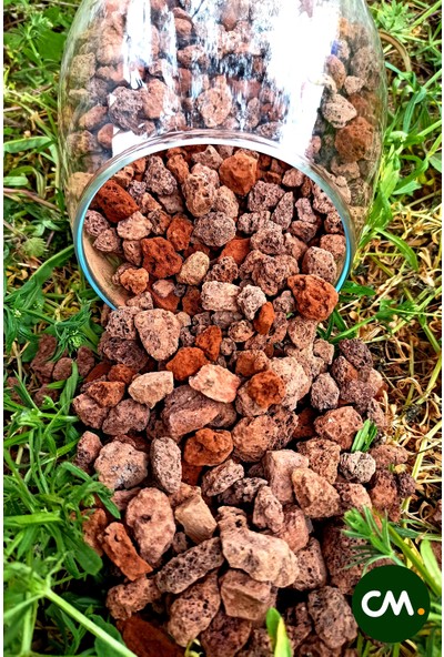 Hb Botanic 3 Litre Pomza Taşı 1 - 2 cm Dekoratif Bahçe Saksı Teraryum Taşı