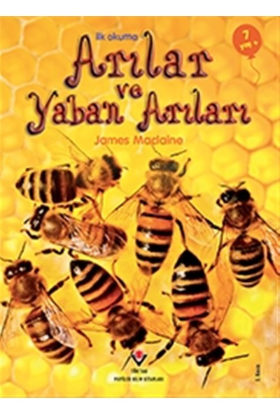 İlk Okuma - Arılar ve Yaban Arıları - James Maclaine İlk Okuma - Arılar ve Yaban Arıları - James Maclaine