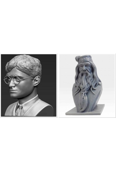 3D Ekspres Harry Potter & Dumbledore Büst Figür 3D Ekspres Harry Potter & Dumbledore Büst Figür