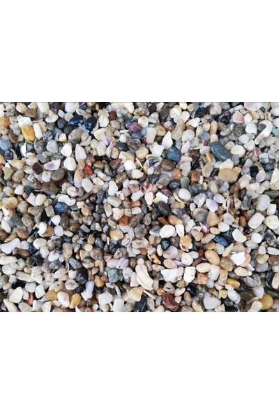 Badem Akvaryum Akvaryum Demar 21 Dere Kumu Çakılı 3-5 mm 10 kg Badem Akvaryum Akvaryum Demar 21 Dere Kumu Çakılı 3-5 mm 10 kg
