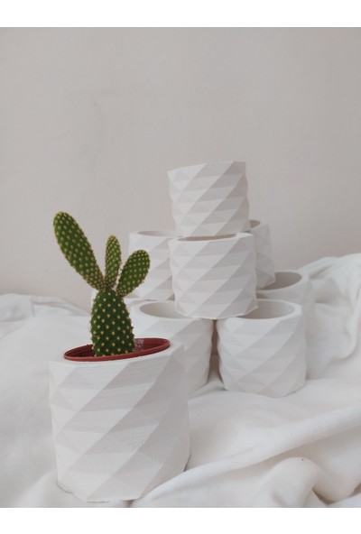 Ays Çiçek Dünyası Geometrik Saksı