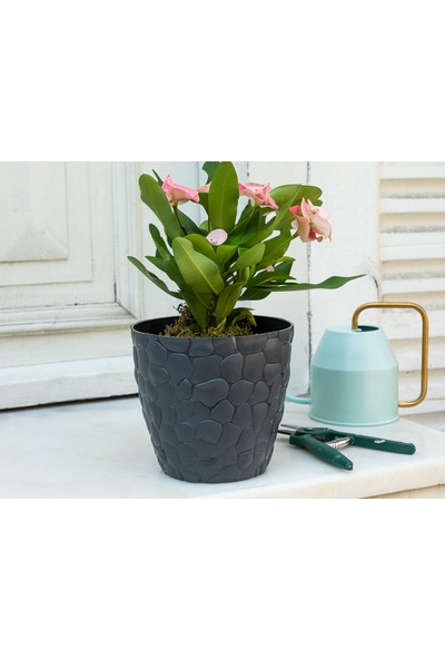 Madame Coco Aveline Stone Saksı 3 Lt - Antrasit
